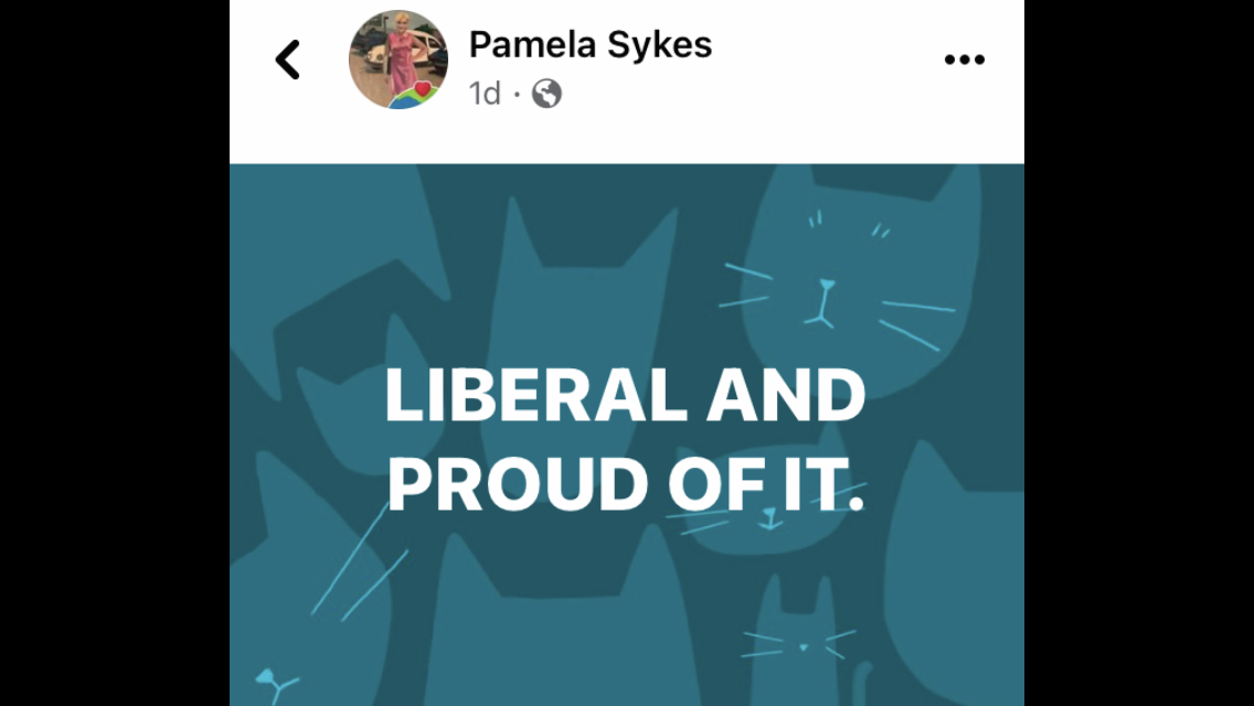 Political memes from Facebook – Sykeology