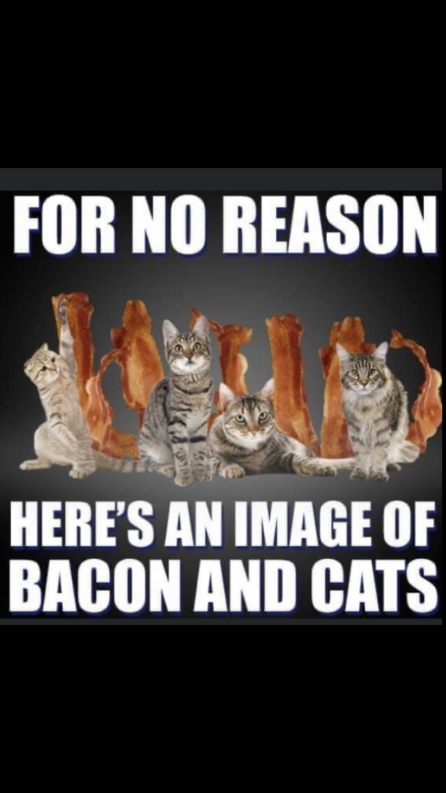 Goofy FB memes #72 – Sykeology